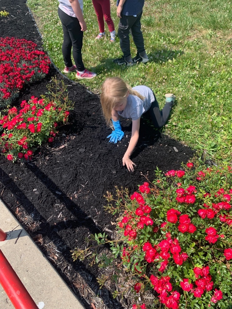 Live Feed | TRIMBLE LOCAL SCHOOLS